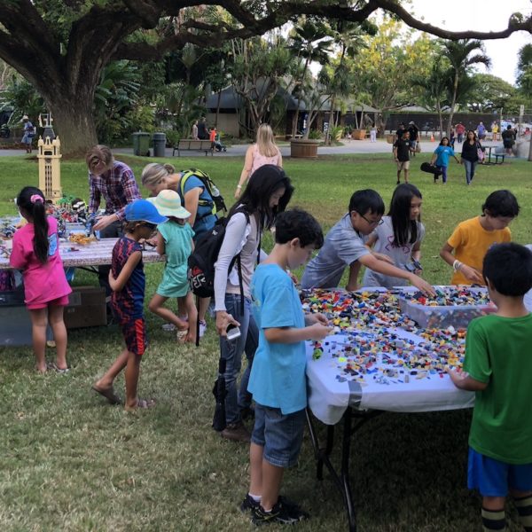 Bishop Museum Hawaii LEGO Theme Installation – HILUG